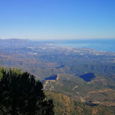 Estepona Guide and Tourist Information - Stay In Estepona