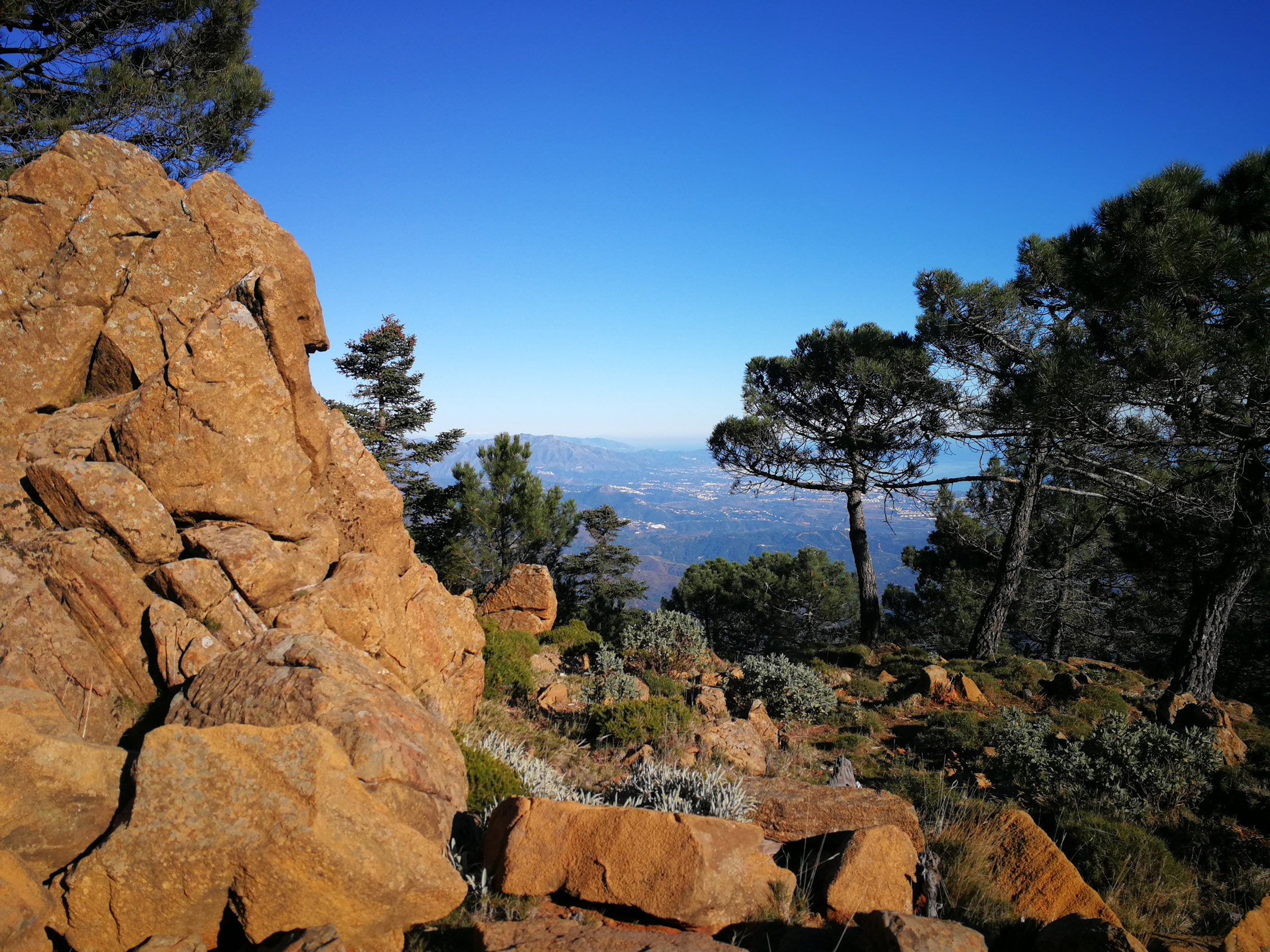 Estepona Guide and Tourist Information - Stay In Estepona