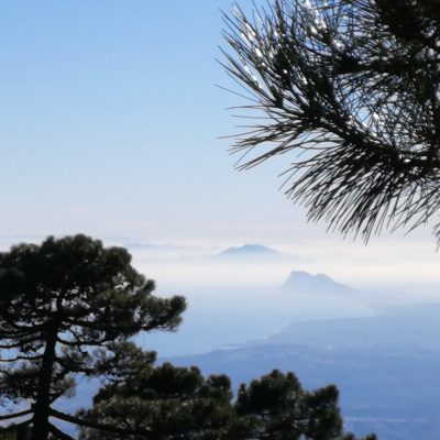 Estepona Guide and Tourist Information - Stay In Estepona