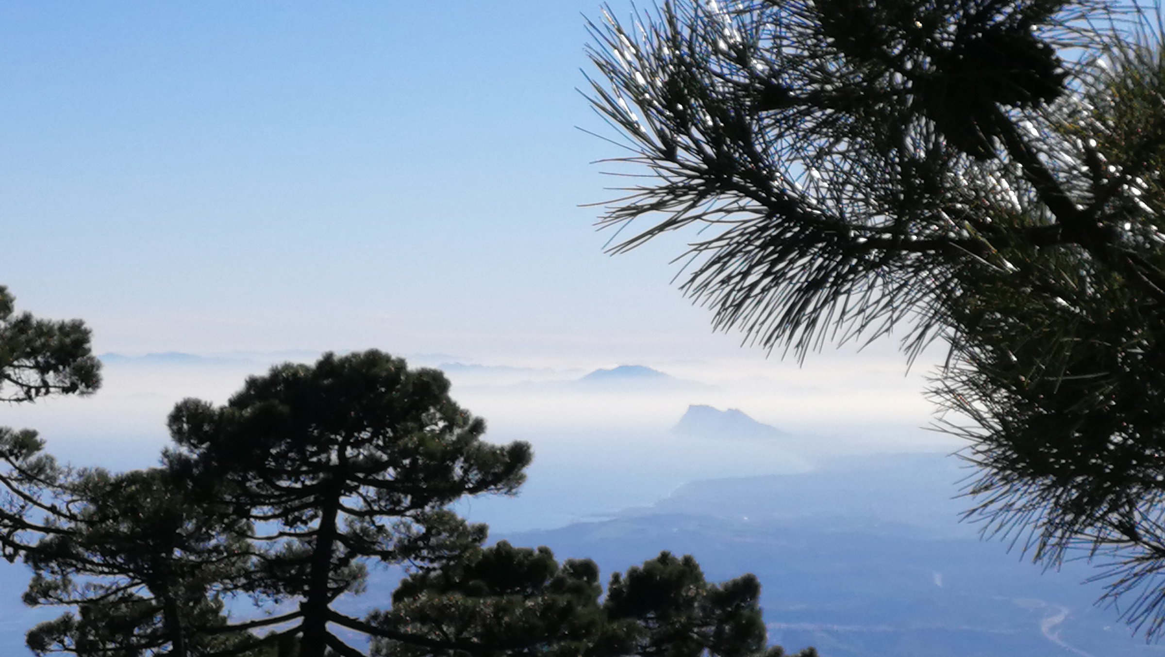 Estepona Guide and Tourist Information - Stay In Estepona