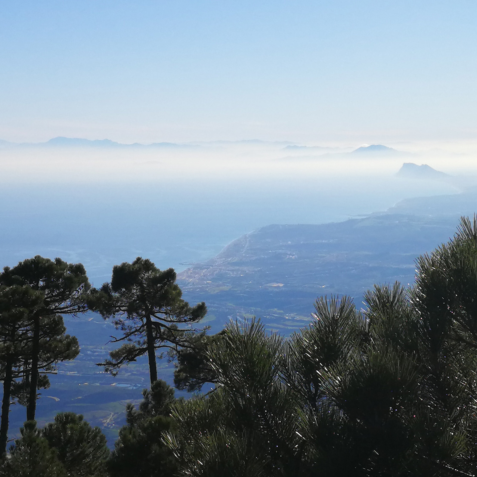 Estepona Guide and Tourist Information - Stay In Estepona