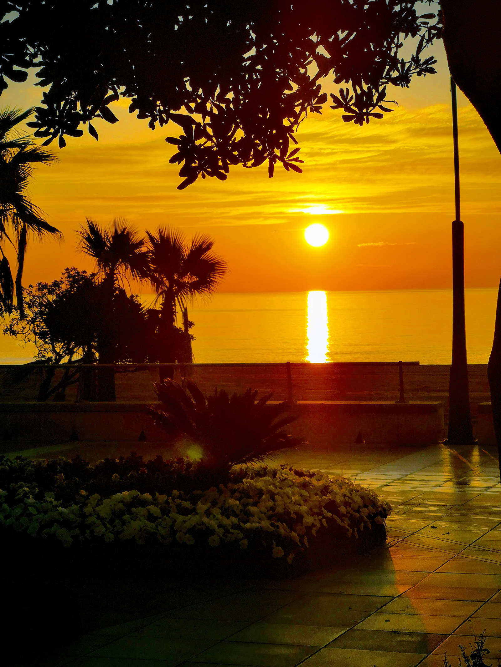 Estepona Guide and Tourist Information - Stay In Estepona